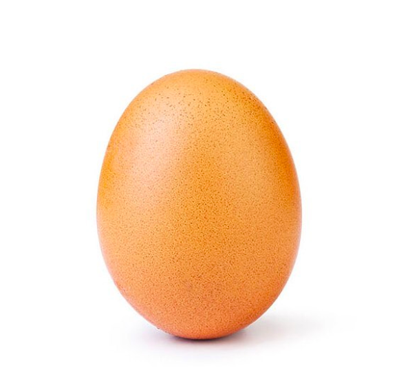Instagram's World Record-Breaking Egg - i3 Media Solutions